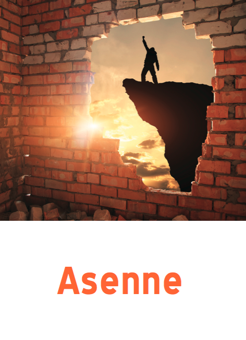 Asenne - Team Zinzino Finland